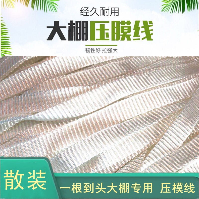 温室园艺大棚专用压膜带压模线大棚压膜绳 白色扁带蔬菜线 大棚线