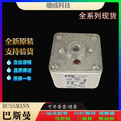 巴斯曼170M5411 170M5412 170M5413 现货供应优价供应 原装熔断器