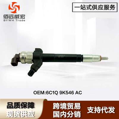 适用福特全顺喷油嘴总成FordTransit 6C1Q 9K546 AC 095000-5801