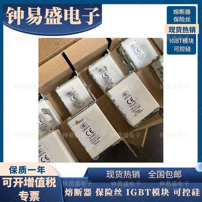 Bussmann170M1320 1319 1318 1321 1322 200A 250A 690V熔断器