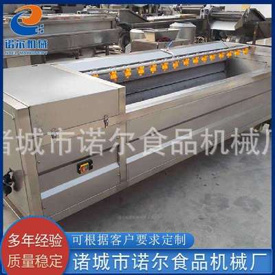 供应萝卜去泥污清洗设备 全自动毛辊清洗机 姜不辣去皮机设备