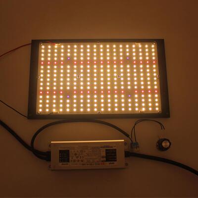 125W LM301H + 660nm uv ir LED 量子板植物灯 配明纬XLG电源