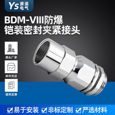 供应BDM-VIII 防爆不锈钢电缆夹紧密封接头 防水船用双密封接头