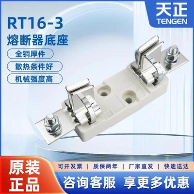 TENG天正电气RT16-3熔断