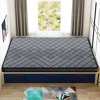 直垫供榻榻米床折叠床垫1.2米可天然椰棕床垫棕垫垫榻榻米棕AIY折