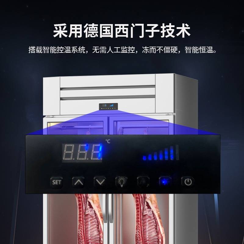 挂肉柜商用牛羊肉保鲜柜冷藏鲜肉展示柜立式吊肉冷冻柜熟成排酸柜