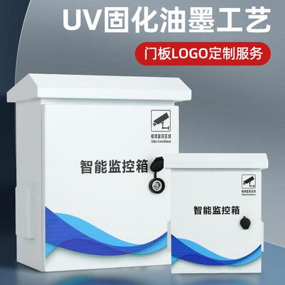 户外防水监控设备箱灯抱路网杆箱络安防视频网成套箱300*250*天雪