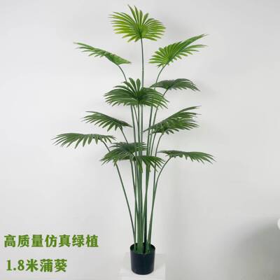 仿生绿植高葵端轻饰奢加州蒲葵盆SKS33333栽室内客摆厅大型落地装
