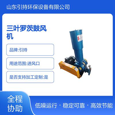 碳钢不锈钢三叶罗茨鼓风机YCSR-125A双油箱水冷式风机气力输送