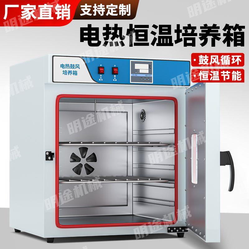 培养箱实验室细菌微生电热种子发催芽箱恒温箱恒温
