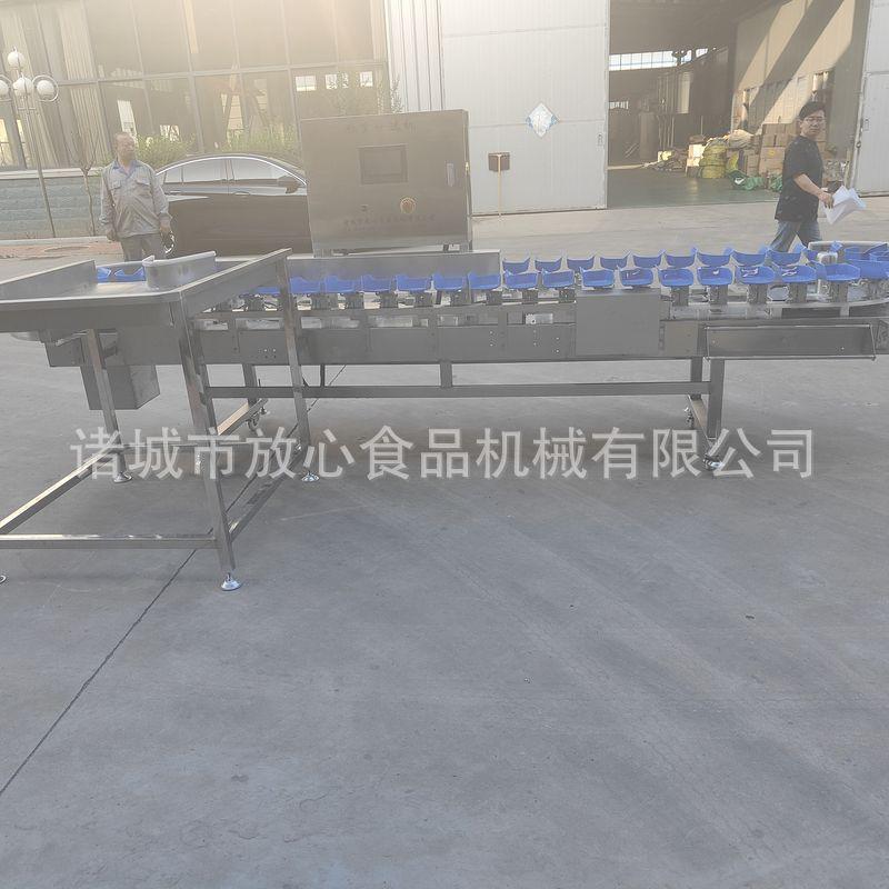 大虾龙分虾量分选机鱼螃蟹称重DJI选机重量分拣机水果称重分重选