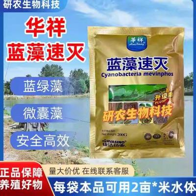 蓝藻速灭清除泥皮丝苔水绵绿劼小球狐尾藻虾塘鱼塘水产养殖