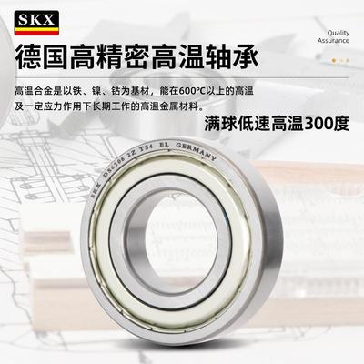 德国高温轴EWA耐承S60186019602060216026024VA201X2294