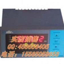 东辉仪表:DY2000(SB)智能六位显示变送控制仪DY21SB06