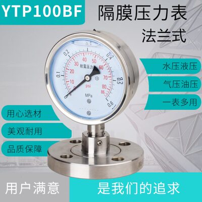 隔膜压力表YTP100BF 法兰DN25 DN40不锈钢钽膜片316L法兰连接耐震