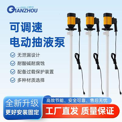 HD-E2-V+PVDF-1500mmHP可调速电动插桶泵氟塑料电动抽油泵化工