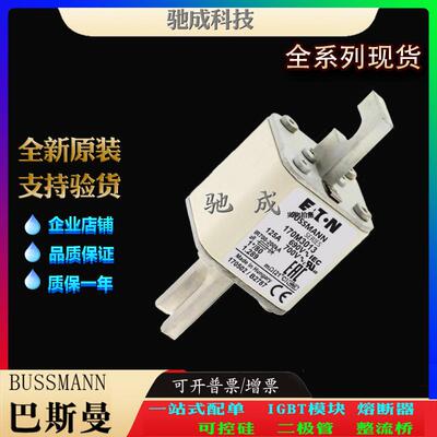巴斯曼170M3013 170M3014 170M3015 厂价直销批零兼营 伊顿熔断器