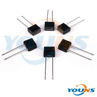 力特392 T2A250V 方形保险丝 T2A 慢熔 2A 方块 T2A250V 电源专用
