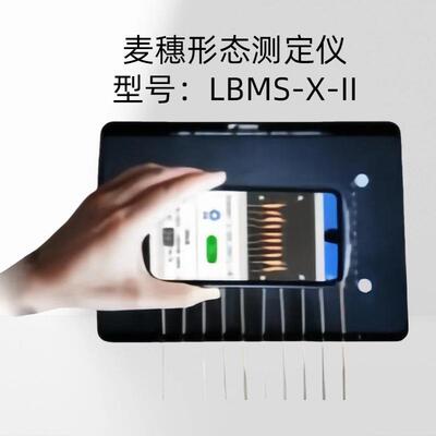 麦穗形态测定仪 型号：LBMS-X-II测量范围：5~20cm测量误差：±2%