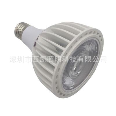 厂家爆款大功率led par30 20W COB 85-265V E27led par30射灯灯泡