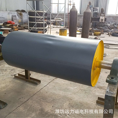 厂家  磁滚筒 rct3250半磁系列 远力化工食品厂专用强永磁滚筒