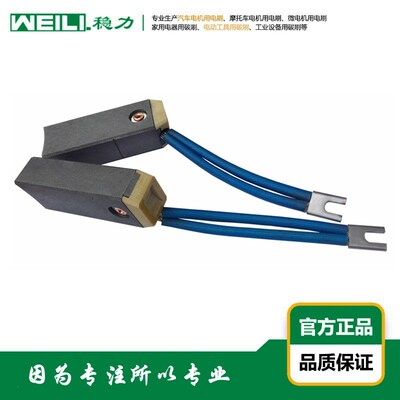 WEILI.稳力 供应汽轮发电机电刷 碳刷  碳刷架 634