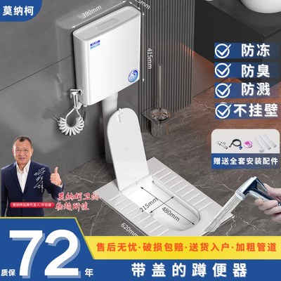 一体式带盖板蹲便器水箱整套装陶瓷蹲厕便盆蹲坑卫生间家用大便池