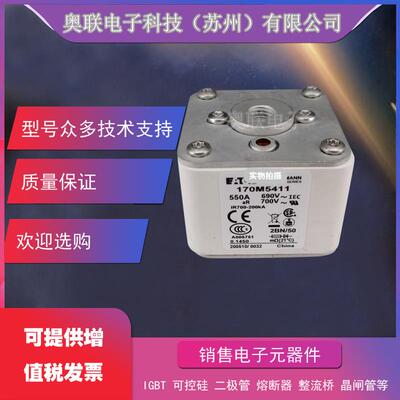 伊顿巴斯曼170M系列170M2695 170M2696 170M2697 170M2698 熔断器
