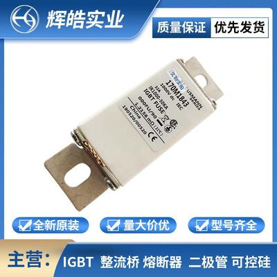 170M4013 170M4015 170M4017 低压快速 熔断器 电子元器件