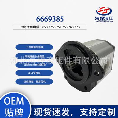 6669385 山猫Bobcat液压泵 适用653 7753 751 753 763 773