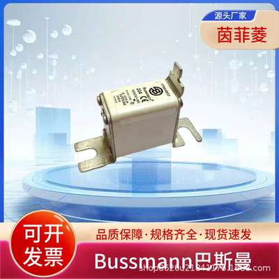 170M4828 170M4829 170M4830 170M4831 170M4832 170M4833熔断器