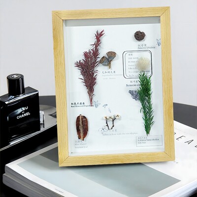 植物标本装饰画相框家居摆