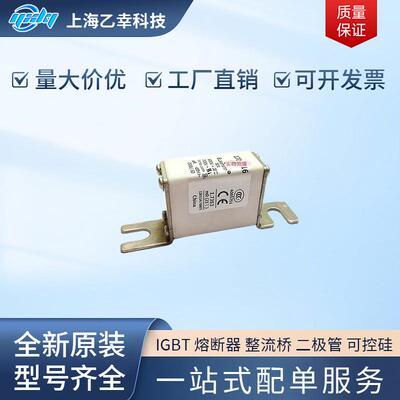 巴斯曼熔断器 170M1740 170M1741 170M1742 170M1750 170M1751