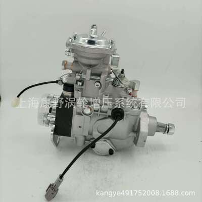 喷油泵22100-17A70 196000-6070和22100-54840和22100-17320