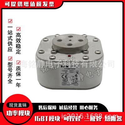 170M7031 170M7548 170M7034 170M7053 170M7544巴斯曼熔断器