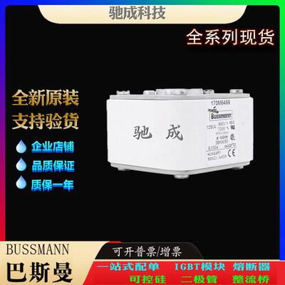 巴斯曼170M6466 170M6467 170M6468 大量现货优价供应 快熔保险丝