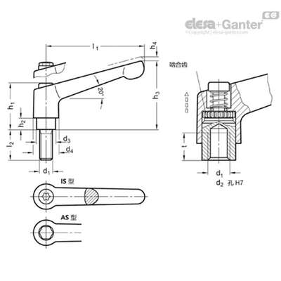 Elesa Ganter伊莉莎冈特 GN 300.5 不锈钢可调节手柄（3）