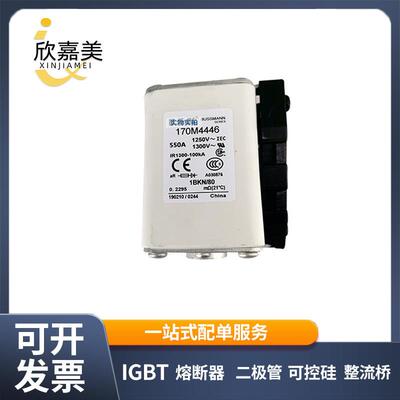 170M4446 170M4418 快速熔断器 电子元器件 库存充足 量大价优