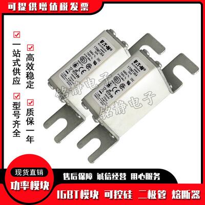 170M1363 170M1364 170M1365 170M1366巴斯曼熔断器现货170M1367