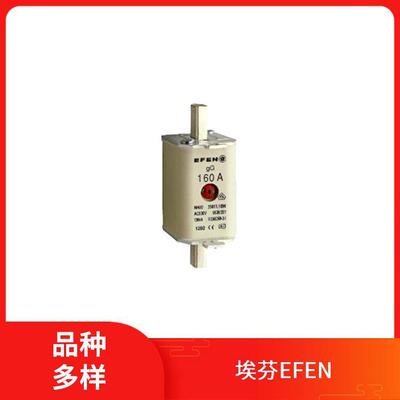 负荷开关 埃芬 EFEN 熔断器 29300-1700 保险丝 77124.7963