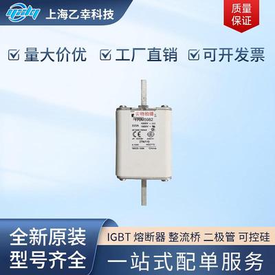 巴斯曼熔断器 170M5973 170M5974 170M5975 170M5981 170M5982