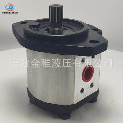 AZPN-11-032RDC07KB-S0081 齿轮泵煤矿机械用液压泵