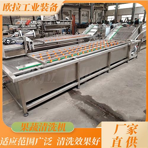 土豆丝加工全套设备 小油菜空心菜蕨菜清洗 水果蔬菜清洗设备