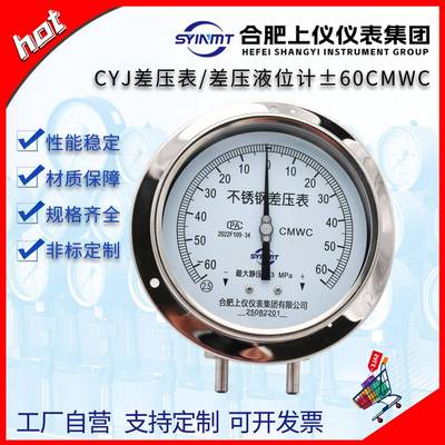 上仪CYJ型双波纹管差压液位计液氧液氮±60CMWC不锈钢差压表6KPA