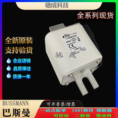 巴斯曼170M6248 170M6249 170M6250 厂价供应出厂价格 快速熔断器