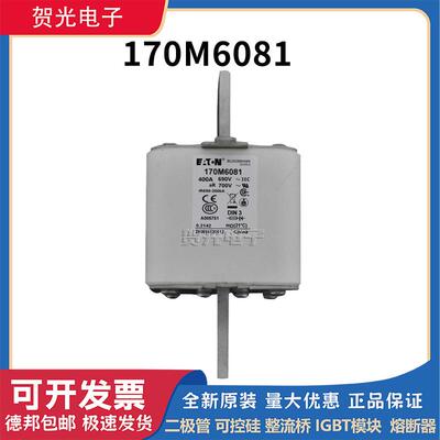 巴斯曼快速熔断器170M6081/170M6500/170M6540/170M8650原装进口