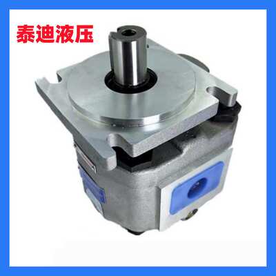 CB-KPL50齿轮油泵 徐工803000583 10101078