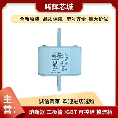 170M6014 170M6013伊顿巴斯曼熔断器量大从优直流快速熔断器现货