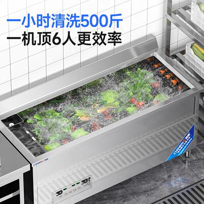 驰能商用全自动去农药体残留化消毒臭氧净器洗菜肉机洗清YMU菜清