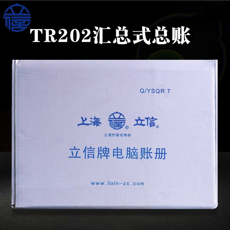 立信账本电脑针式套打账册TR202汇总式总账企业财务会计记账汇总